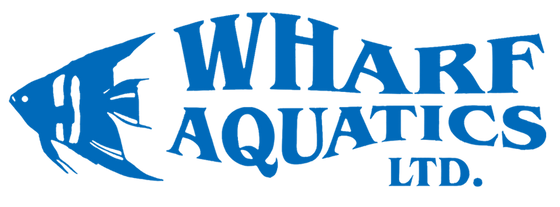 Wharf Aquatics - Tropical Fish, Marine, Aquarium and Pond